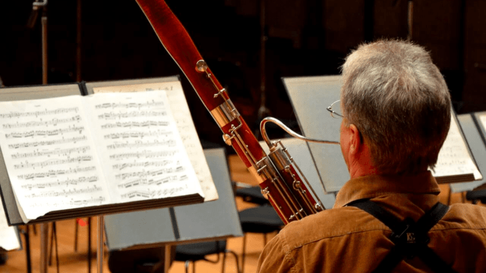 Top des meilleurs bassons en 2025